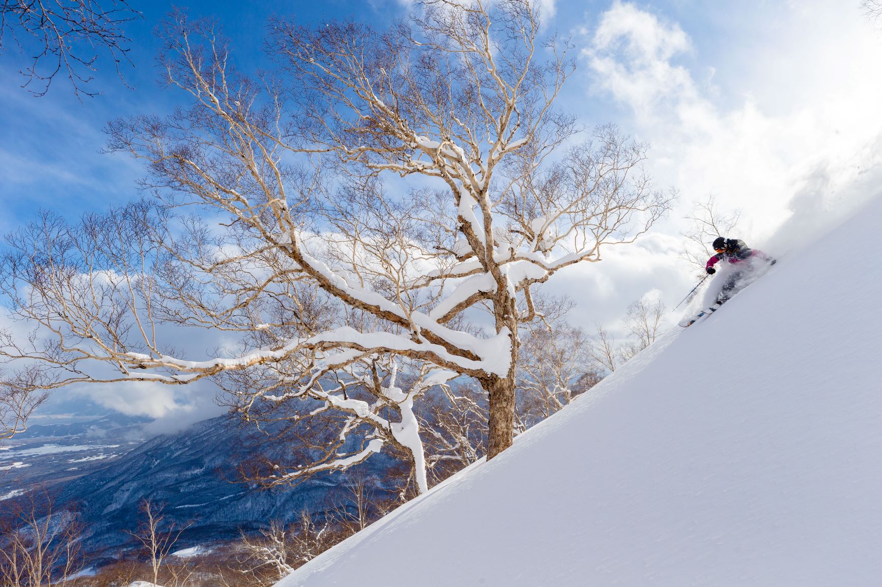 ＜Niigata Ski Resort Guide 2022-2023＞Prince Snow Resort Myoko Suginohara ...