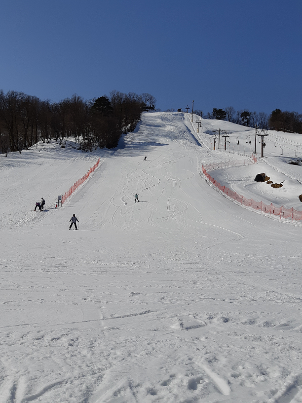 [Ski Resort Information 2023-2024]Kanayasan Ski Resort (Joetsu City ...